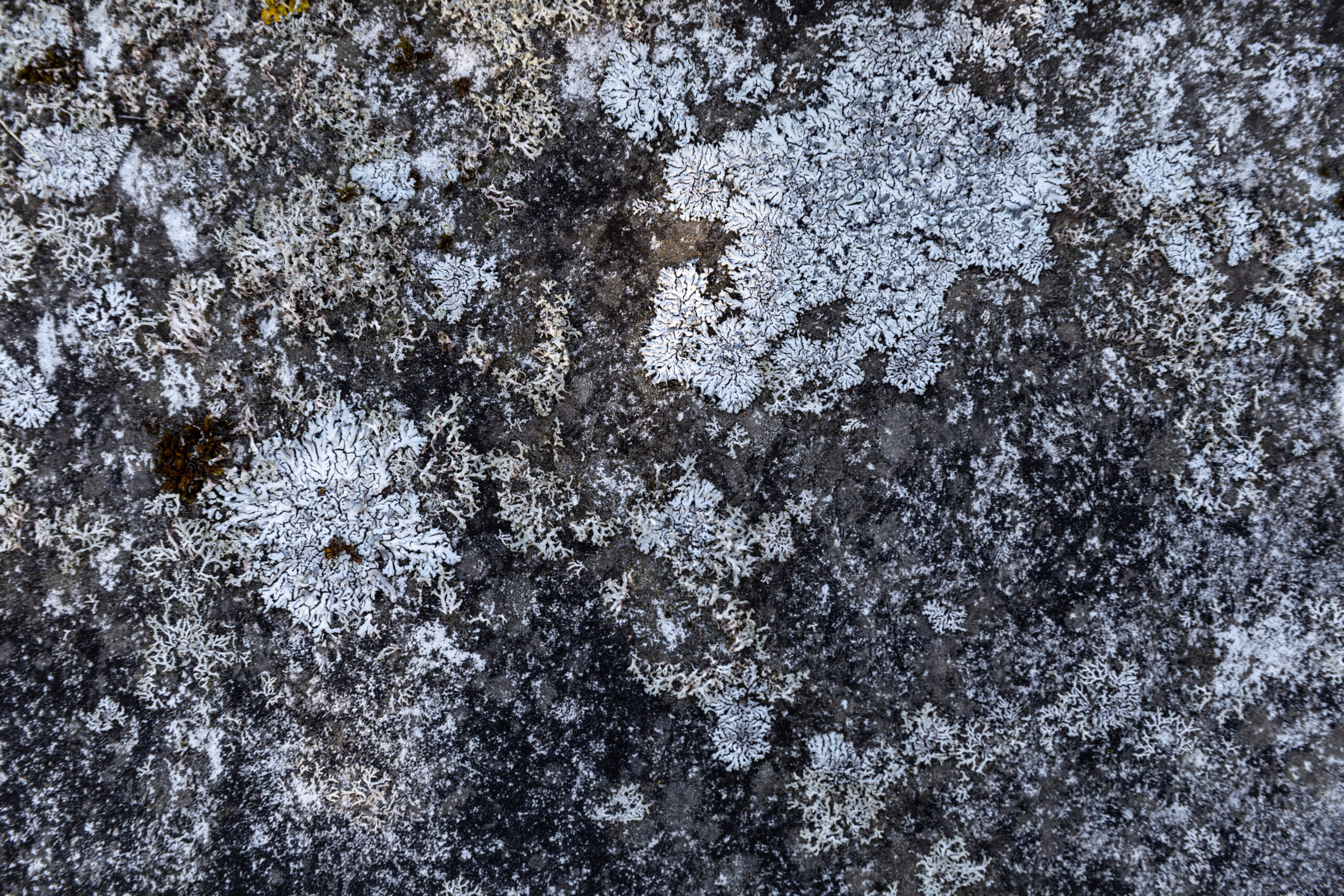 Finnish Climate Change Panel Report: New calculations support the ...