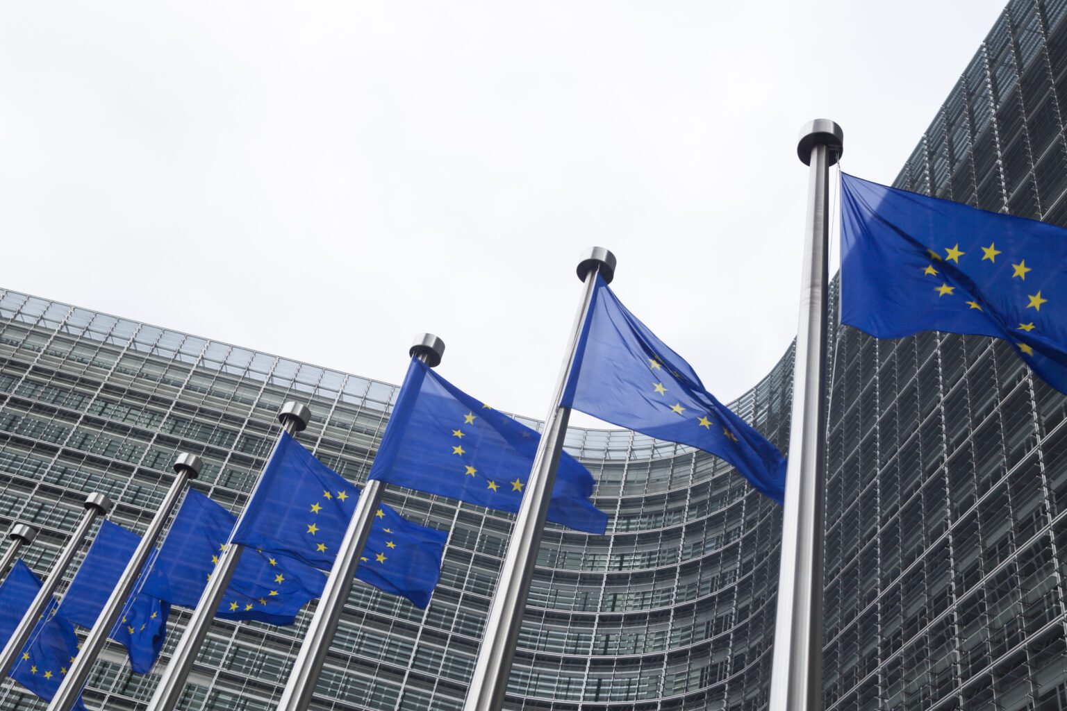 Euroopan unionin ilmastopolitiikka – Ilmastopaneeli